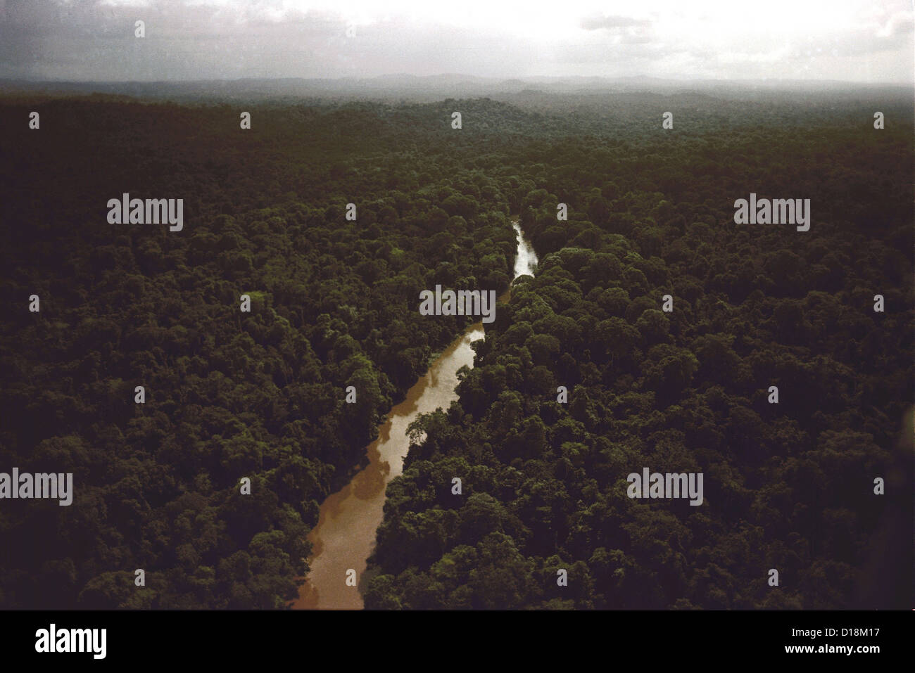 Kaituma River flowing through the rain forest near the People's Temple ...