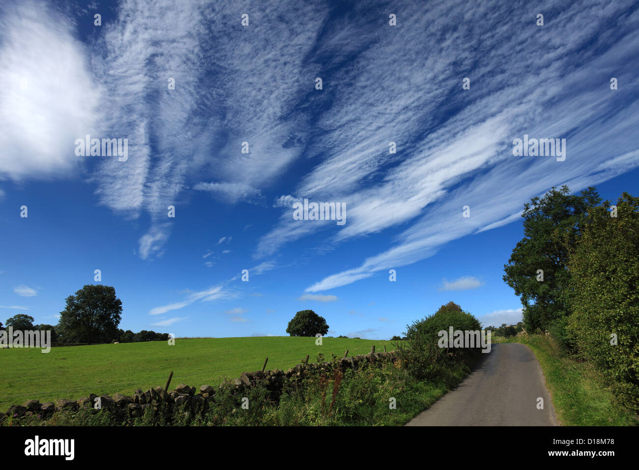 Cotherstone hi-res stock photography and images - Alamy