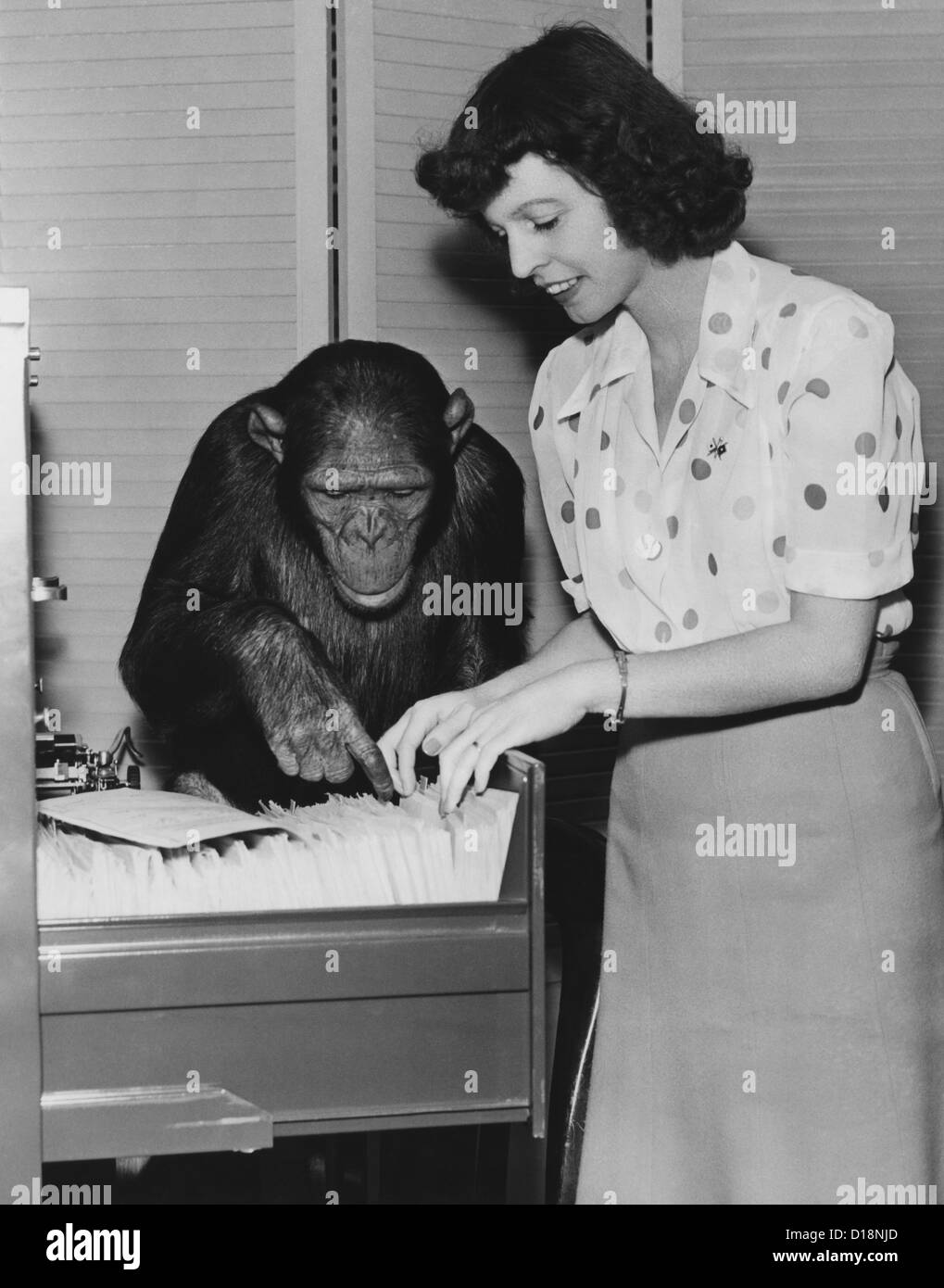 Assistant and files Black and White Stock Photos & Images - Alamy