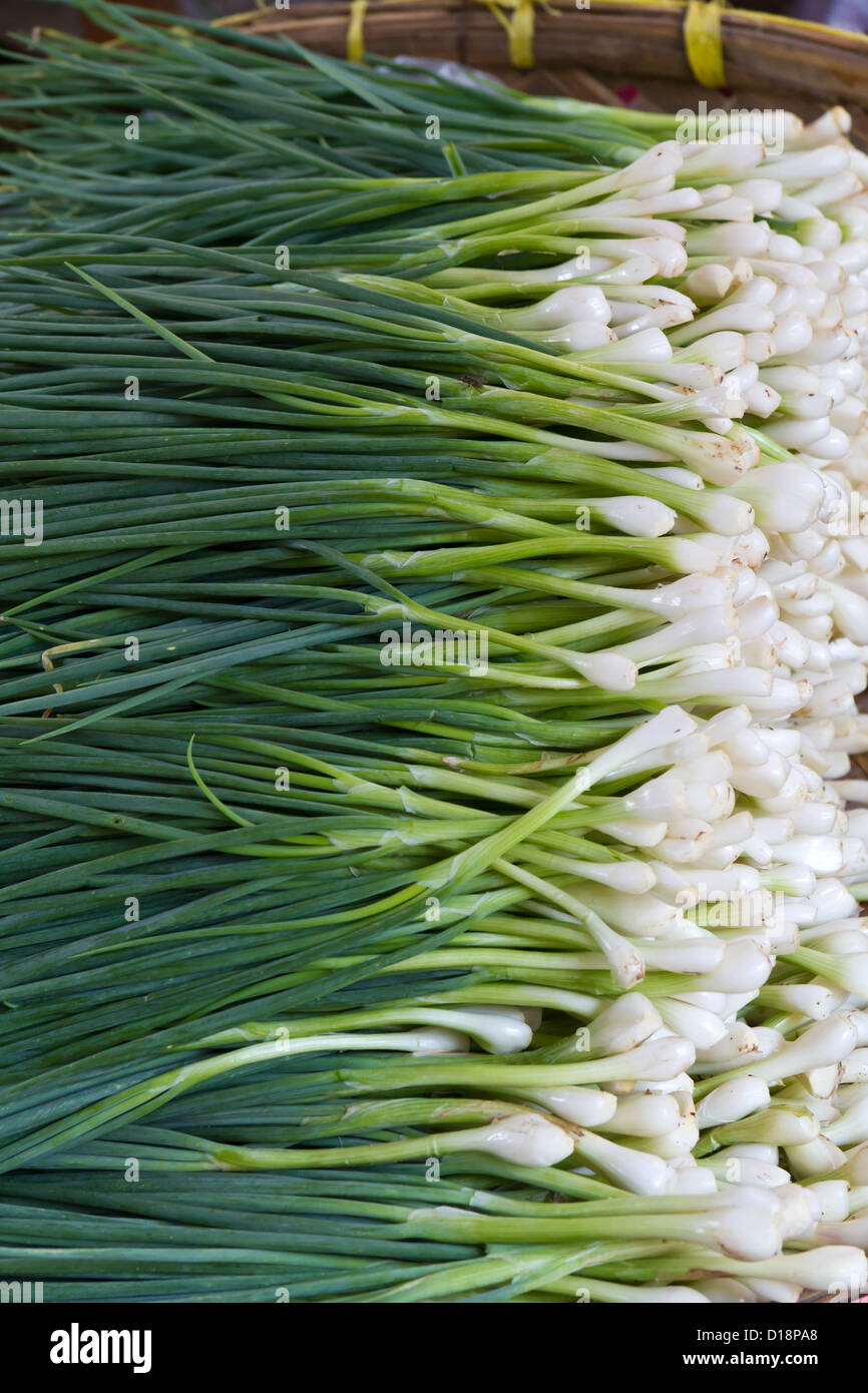 Shallots on a Market in Phnom Penh, Cambodia Stock Photo - Alamy
