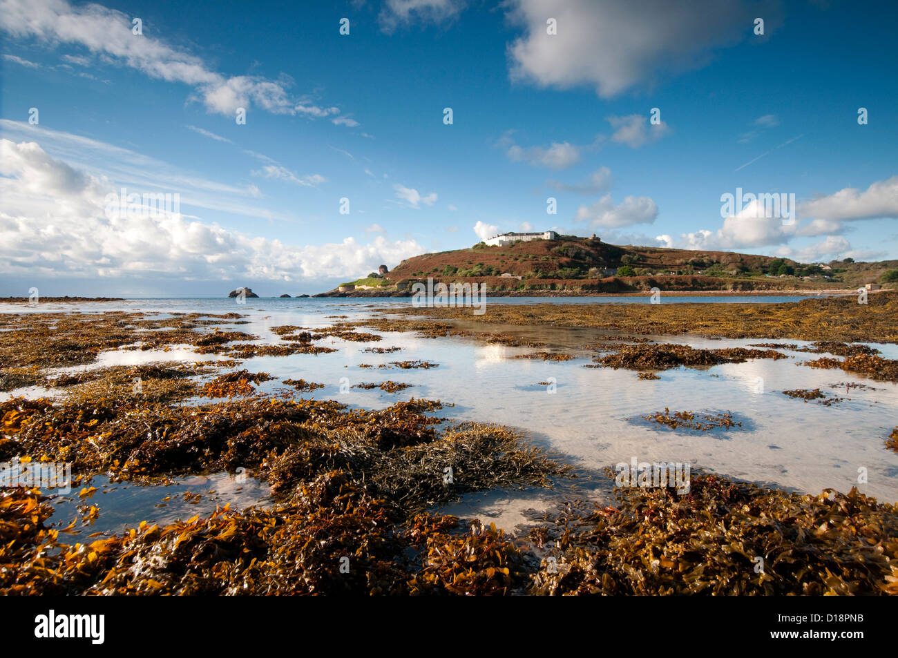 Alderney french hi-res stock photography and images - Alamy