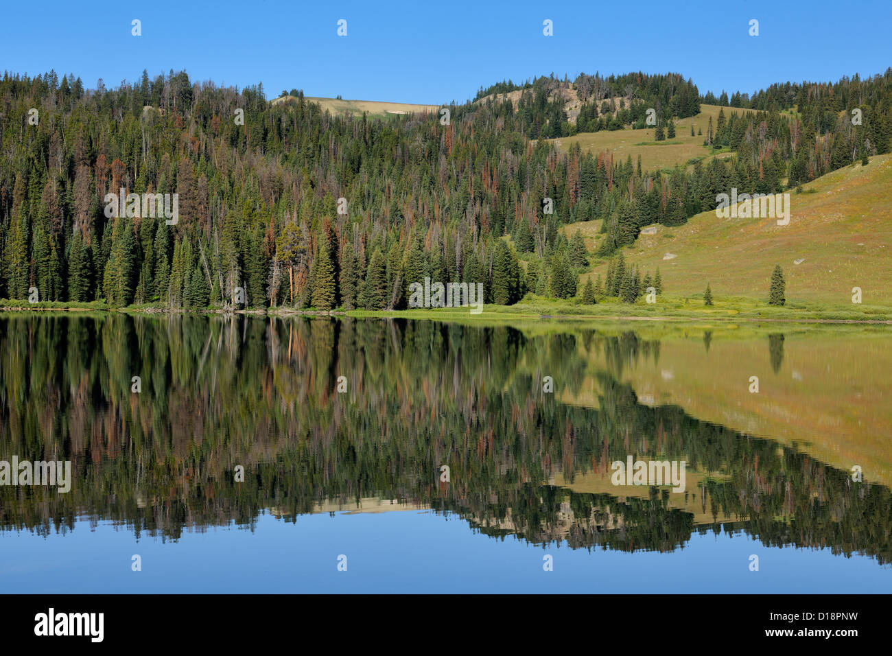 Reflections in Beartooth Lake, Beartooth Lake Campground, Wyoming, USA ...