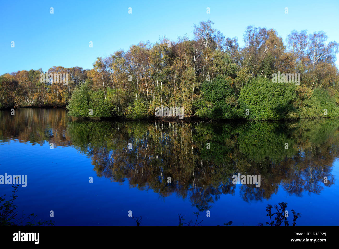 Landscape view over Holme Fen, English Nature Reserve, part of the ...