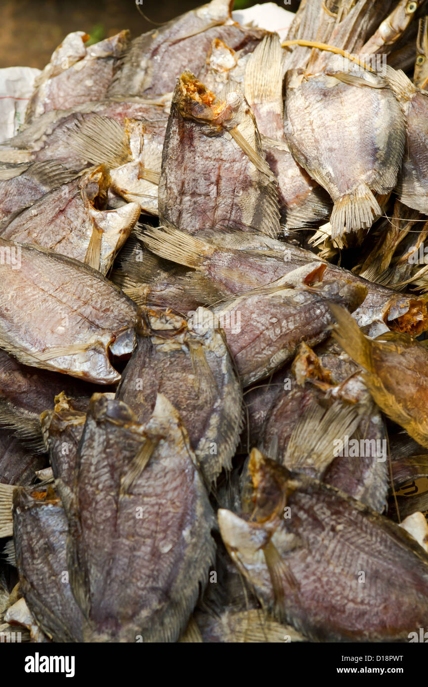 Dried Fish on a Market in Phnom Penh, Cambodia Stock Photo - Alamy