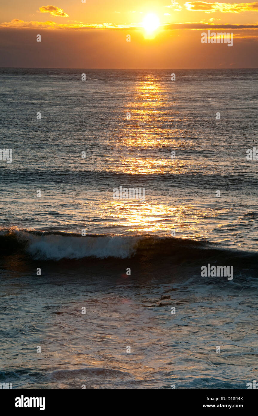 Alderney french hi-res stock photography and images - Alamy