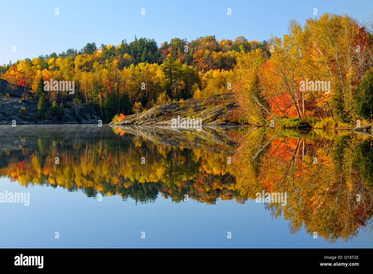 Lakeshore with birches hi-res stock photography and images - Alamy