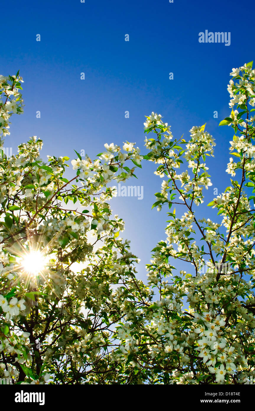 Entrenching hi-res stock photography and images - Alamy