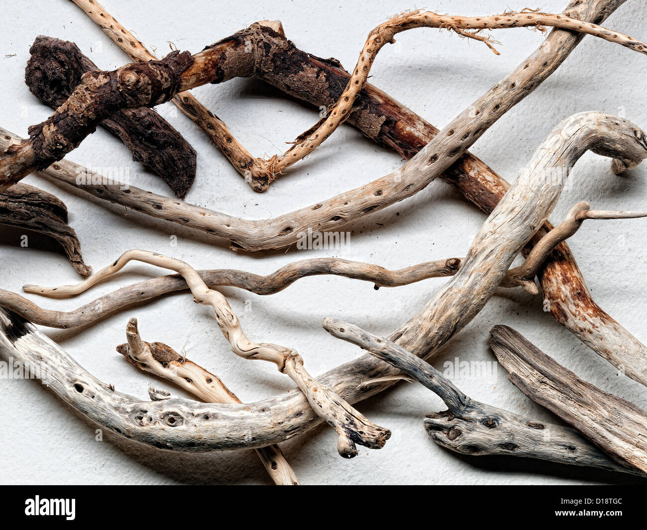 Driftwood pieces with tree hi-res stock photography and images - Alamy