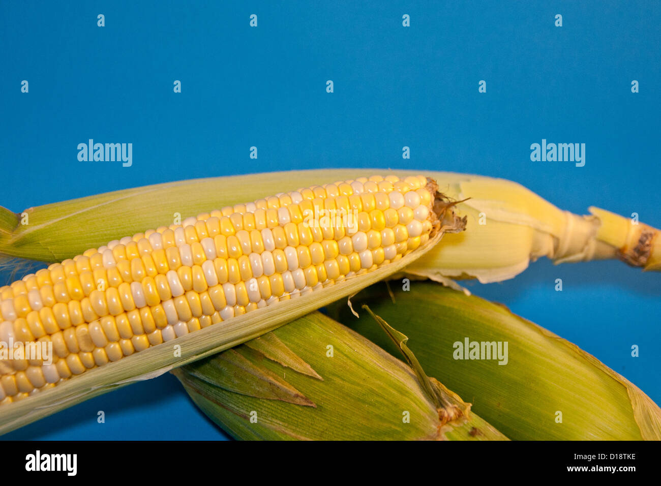 C is for corn hi-res stock photography and images - Alamy