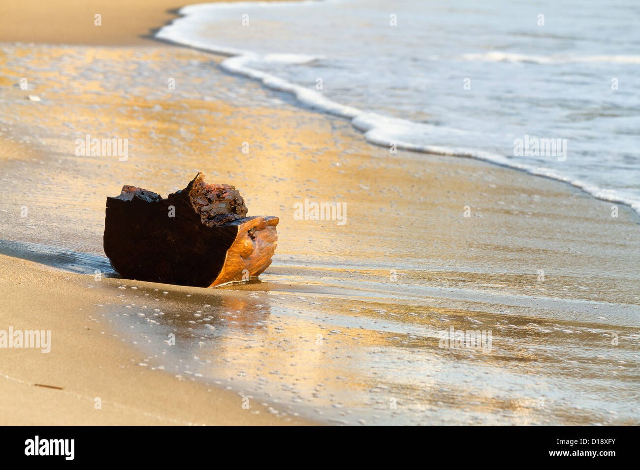 Wood log in the ocean hi-res stock photography and images - Alamy