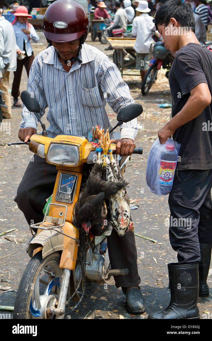 Chicken motorbike hi-res stock photography and images - Alamy