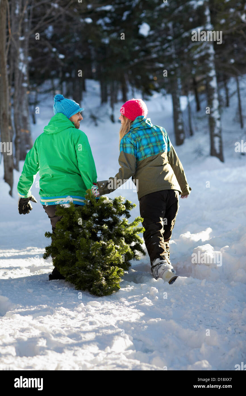 Couple dragging christmas tree through snow Stock Photo - Alamy