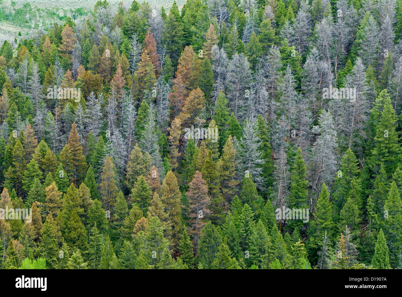 Uintah mountains hi-res stock photography and images - Alamy