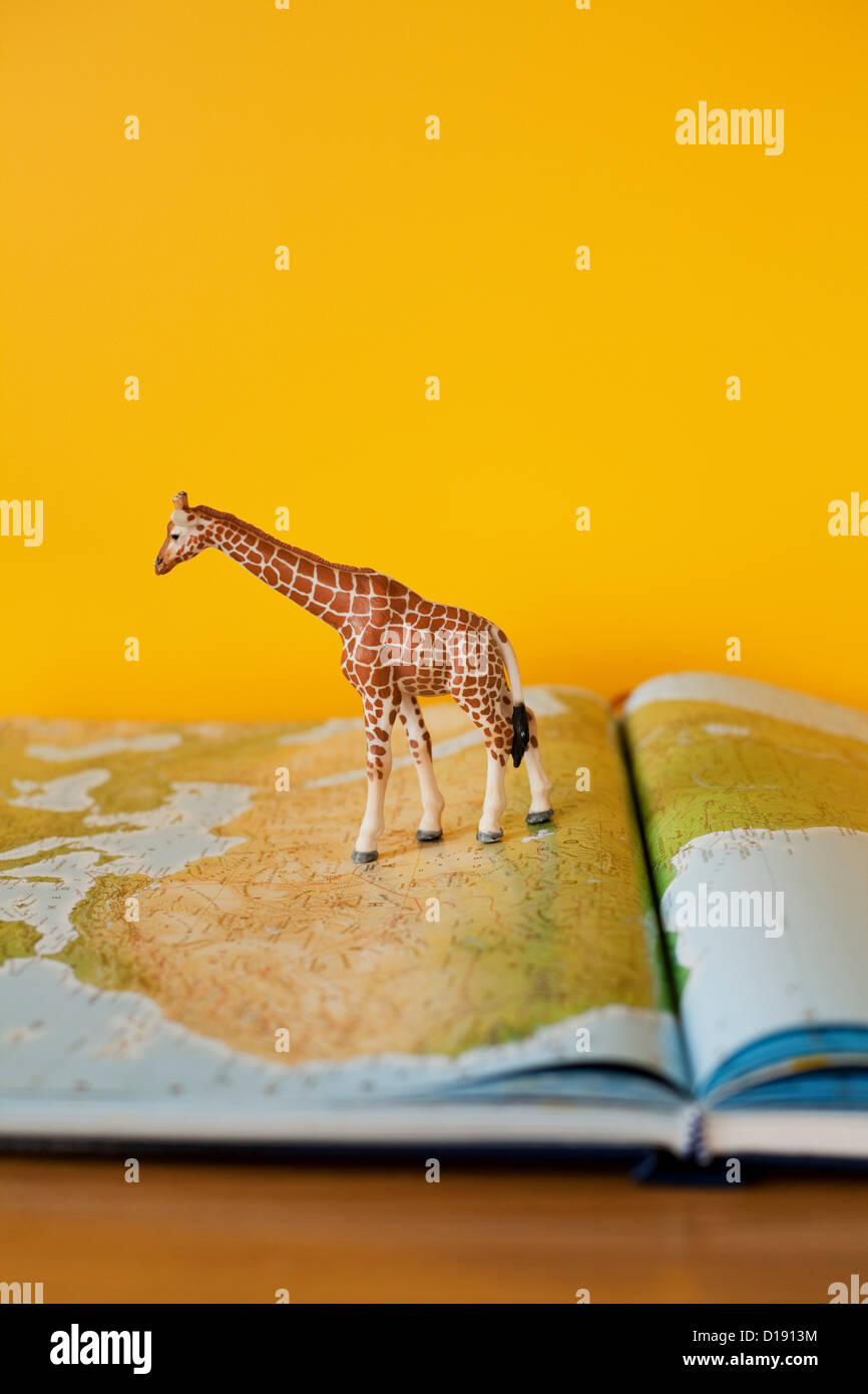 Giraffe on map of Africa Stock Photo - Alamy
