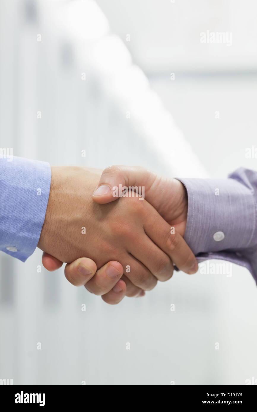 People shaking hands Stock Photo - Alamy