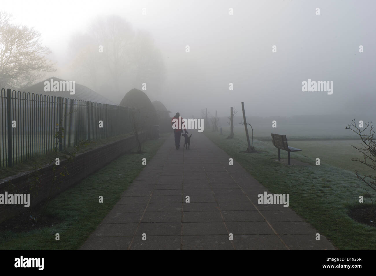 Distant dog walker in fog, empty park Stock Photo - Alamy