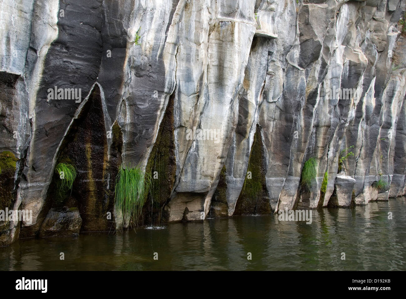 Springs pouring out of a basalt wall, Crooked River Gorge, Oregon Stock ...