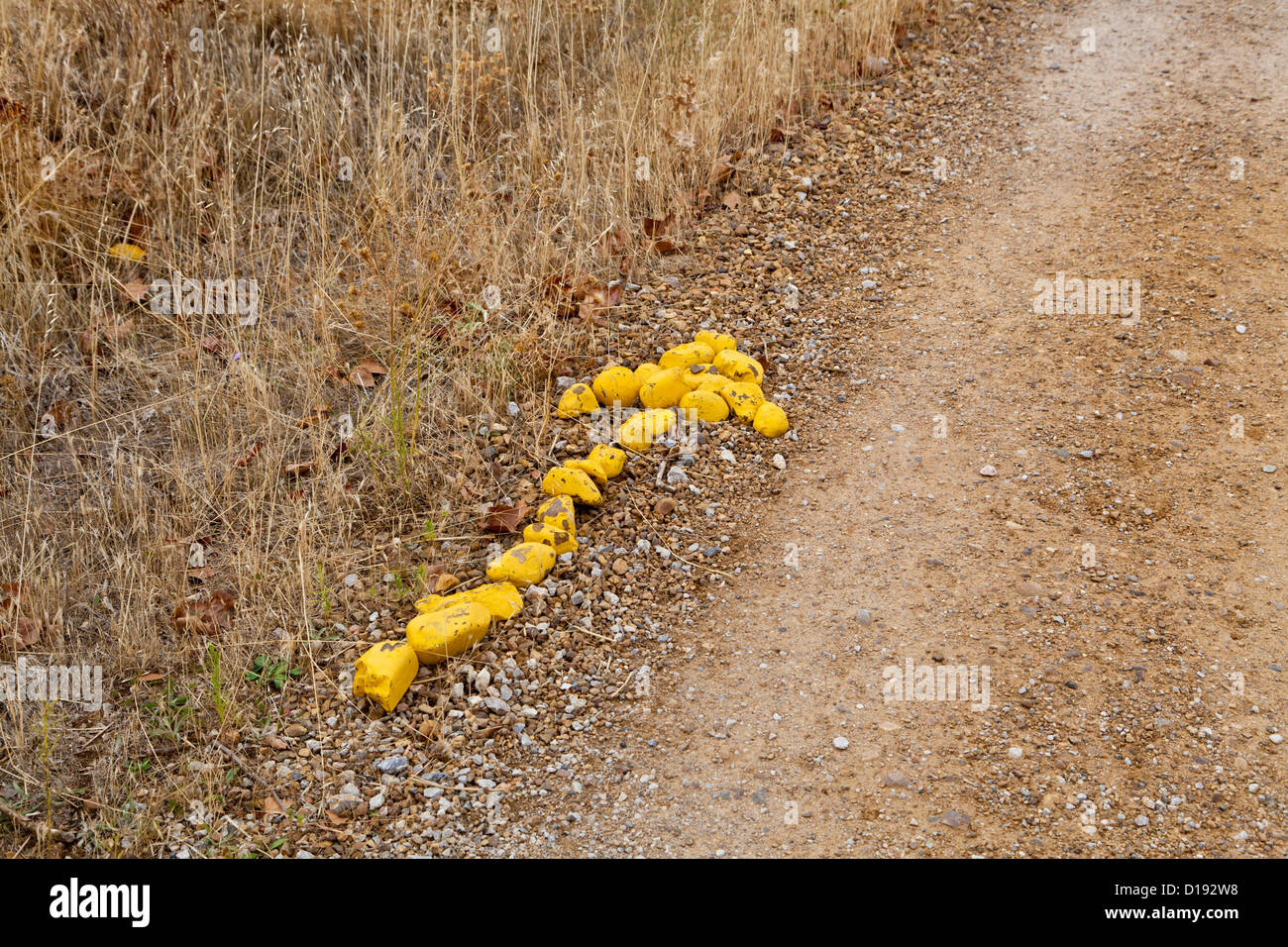 the yellow arrow of painted rocks, a pilgrim Camino symbol, along the ...