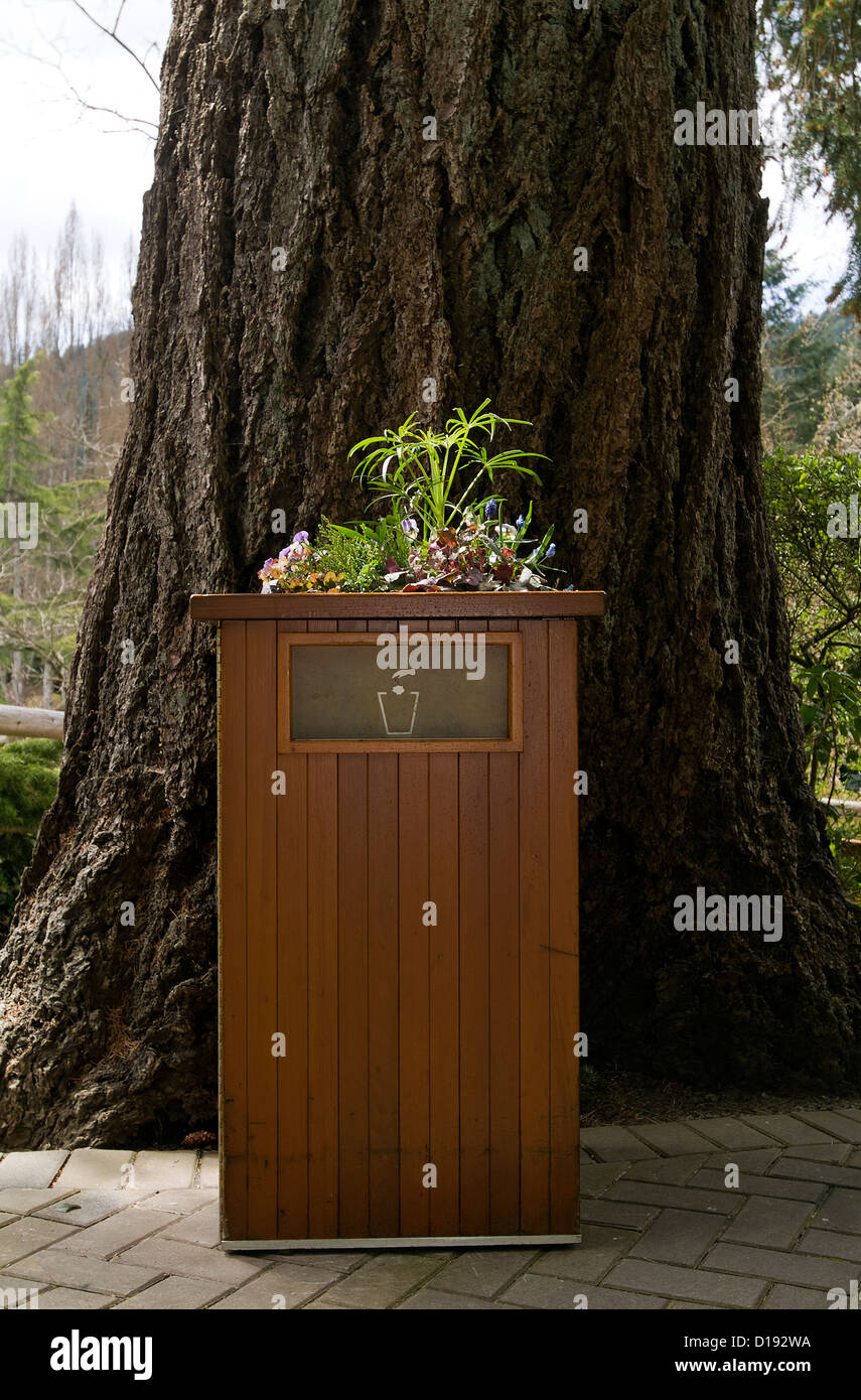 Plants on top of a garbage can Stock Photo - Alamy