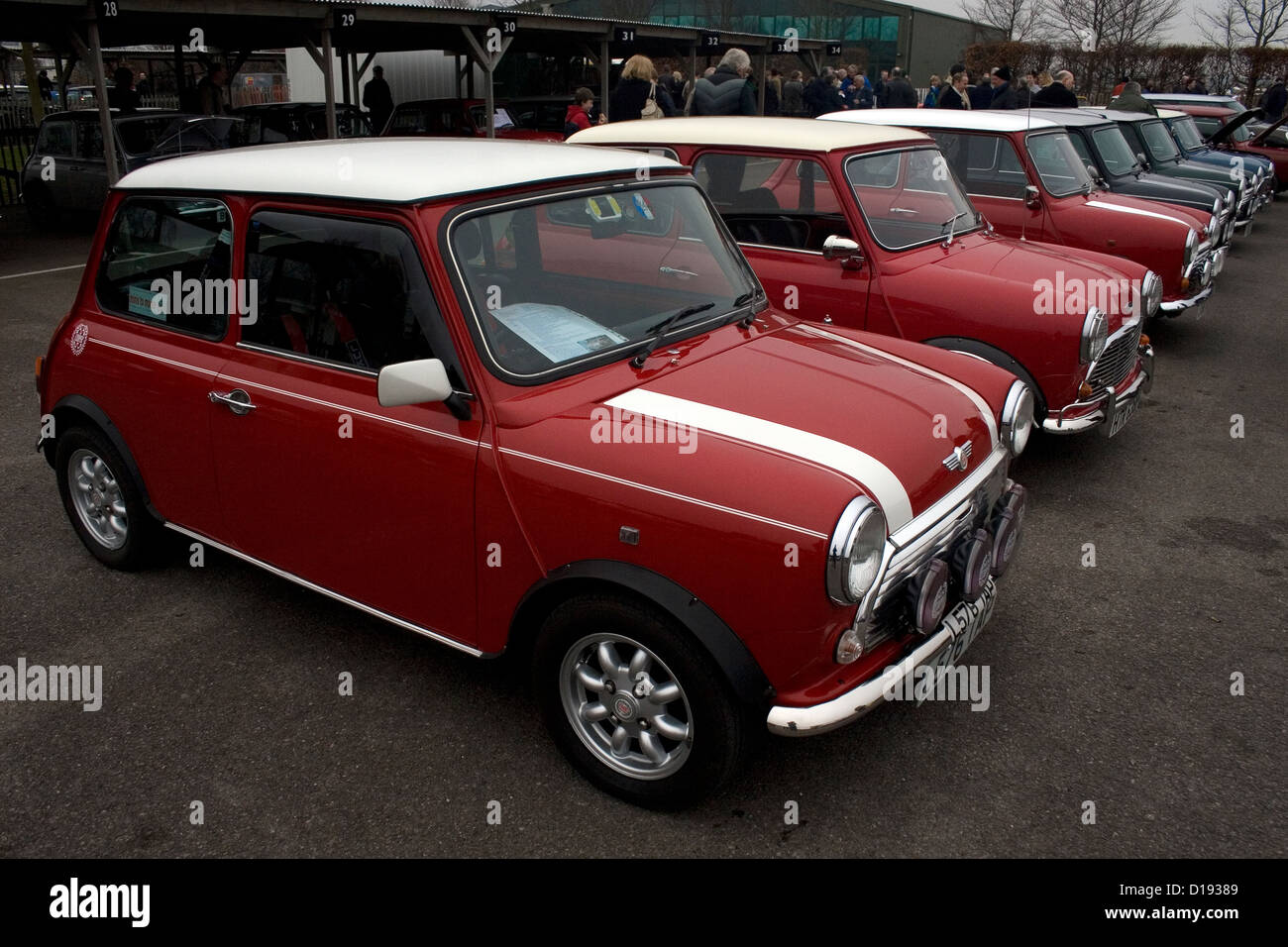 A line of classic red Mini cars parked at a car show Stock Photo - Alamy
