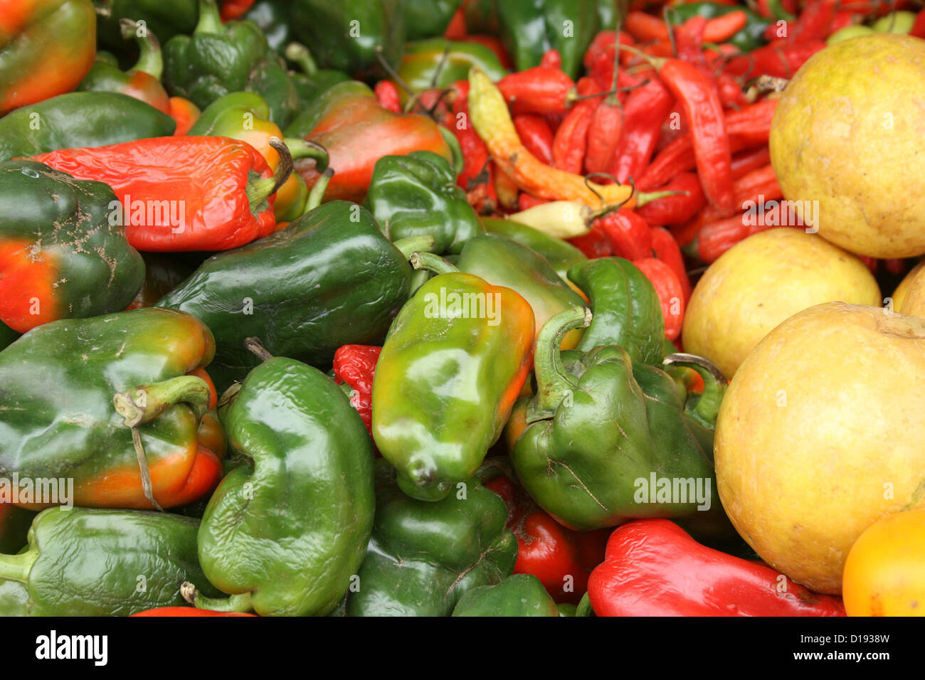Red and green peppers and grapefruit for sale at the outdoor fruit and ...