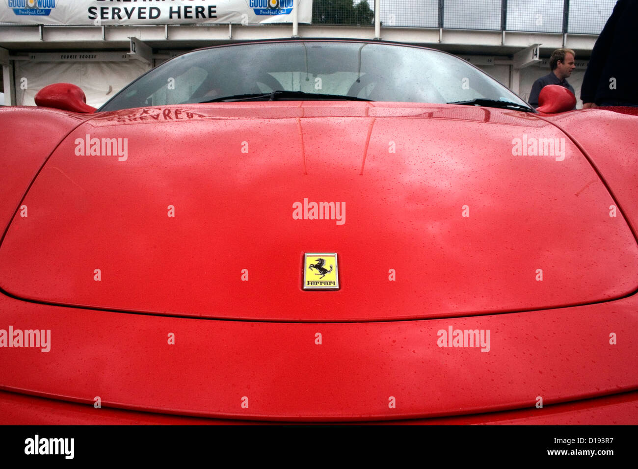 Ferrari badge horse logo hi-res stock photography and images - Alamy