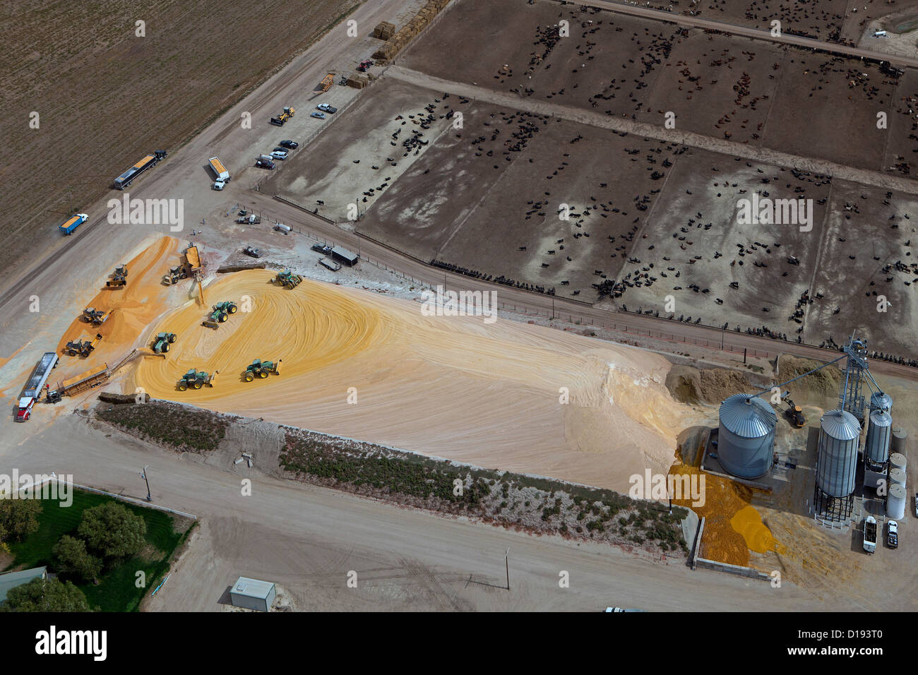 aerial photograph cattle feedlot Nebraska Stock Photo - Alamy