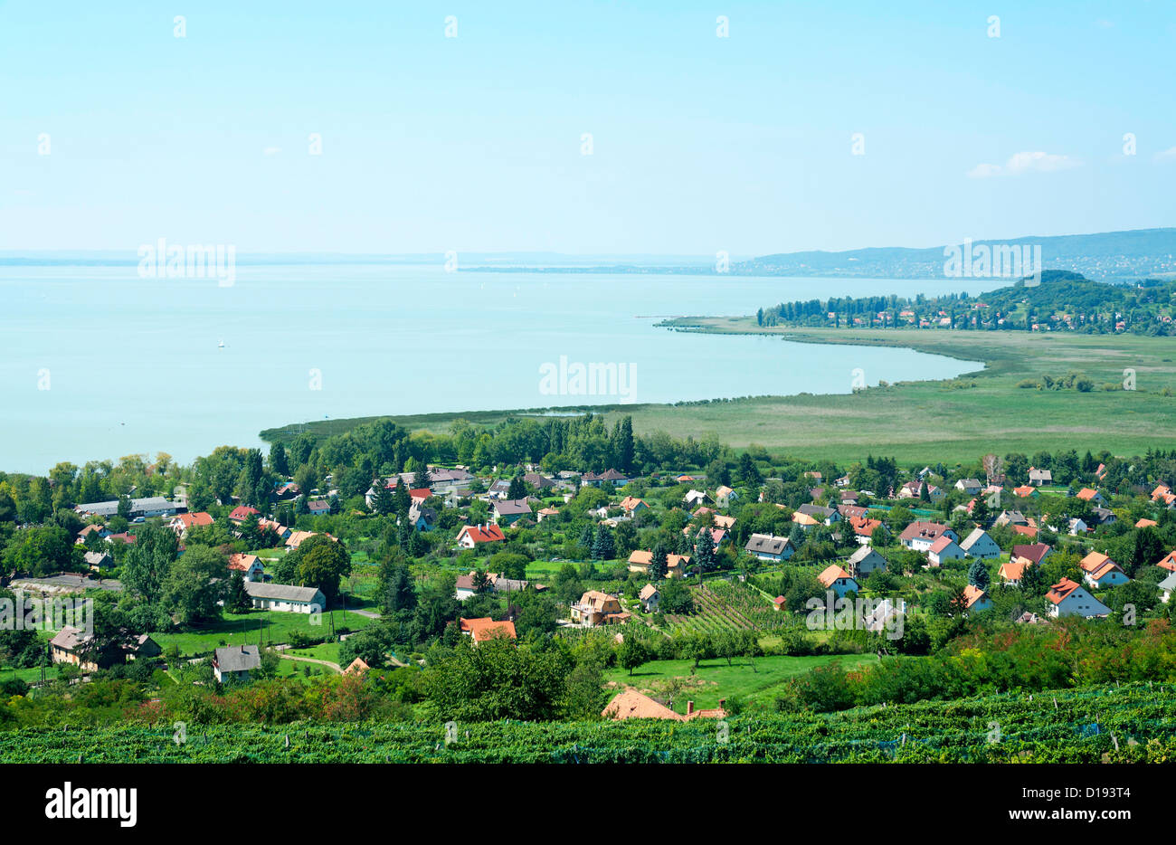 Reeds lake balaton hungary hi-res stock photography and images - Alamy