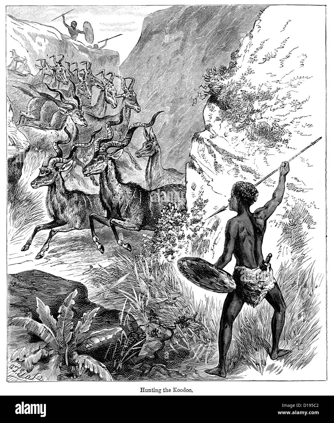 Native hunting hunt spear hi-res stock photography and images - Alamy