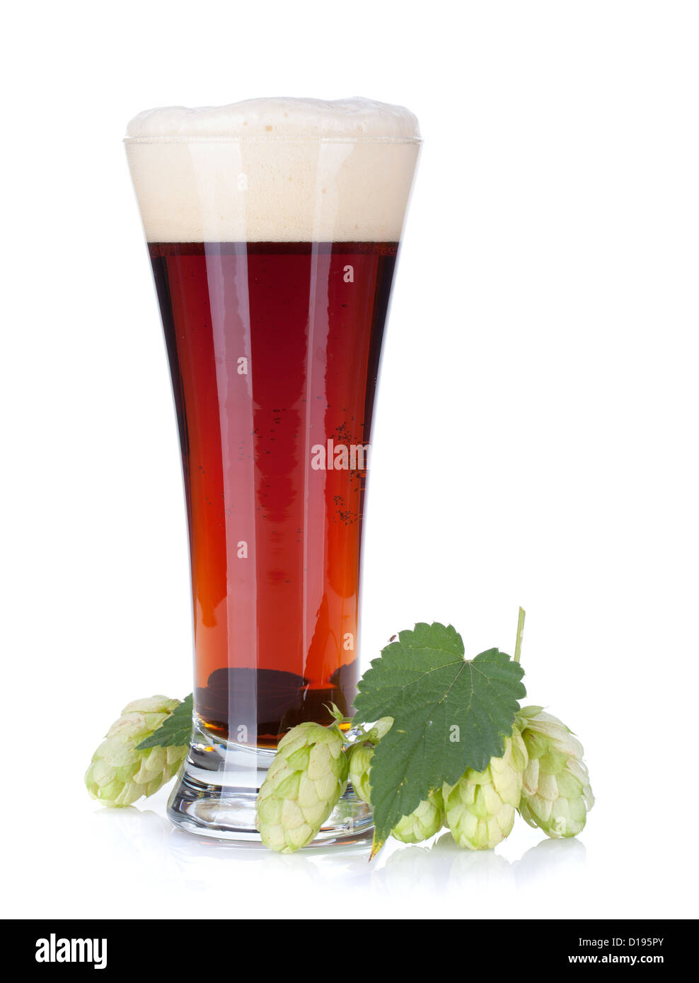 Dark beer cup and hop branch. Isolated on white background Stock Photo ...