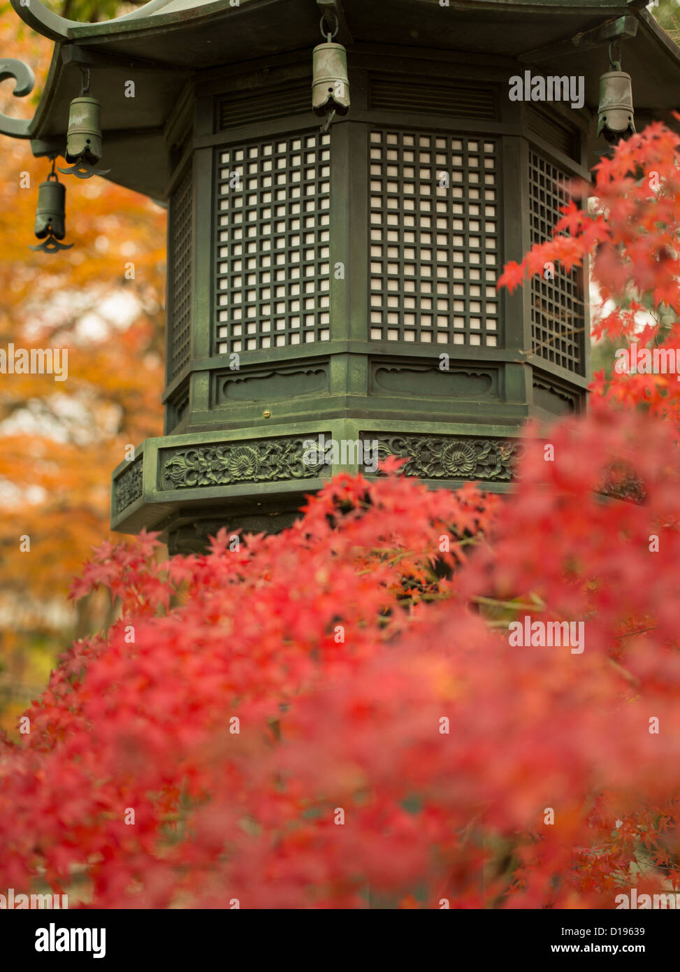 Shrine Lantern with fall colors / autumn leaves, Kyoto, Japan Stock ...