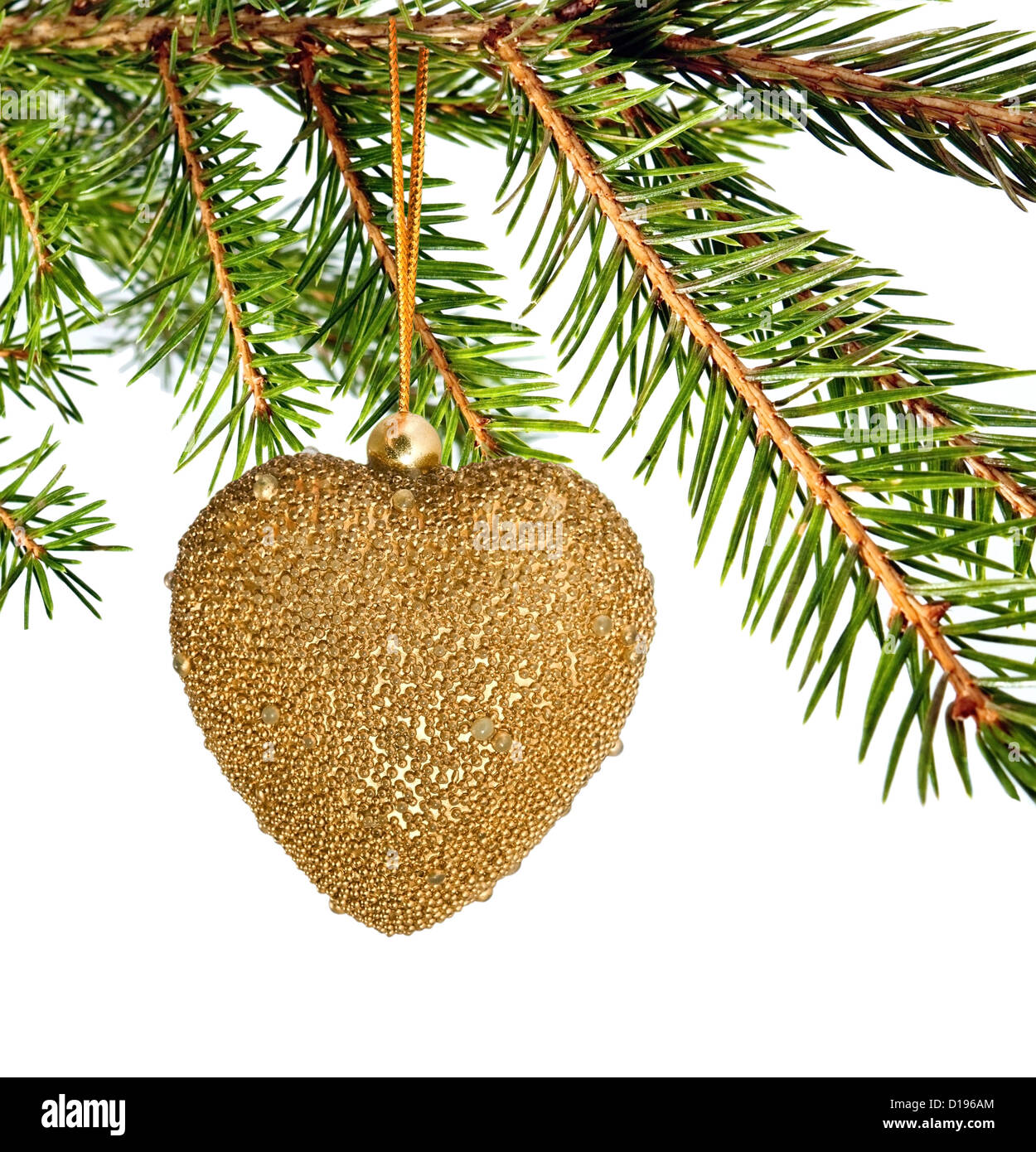 Branch of fur-tree isolated for background Stock Photo - Alamy