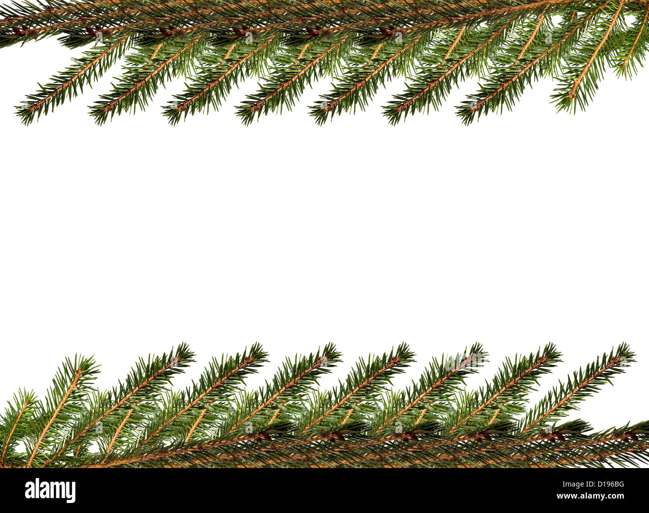 Fur tree element on white background Stock Photo - Alamy