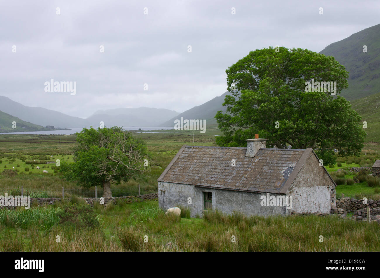 Irish Countryside Scene