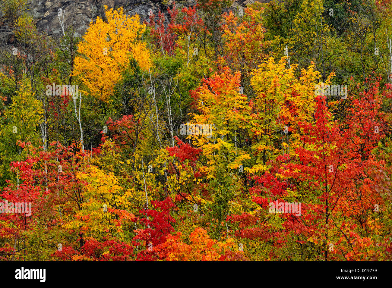 Base transitioning hi-res stock photography and images - Alamy