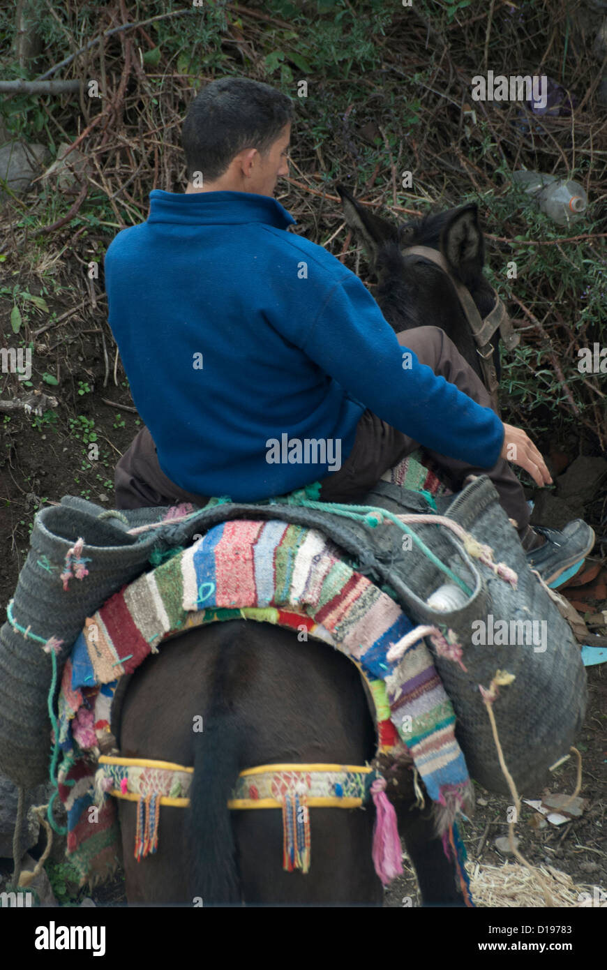 Man riding horse in the high Atlas Morocco Stock Photo - Alamy