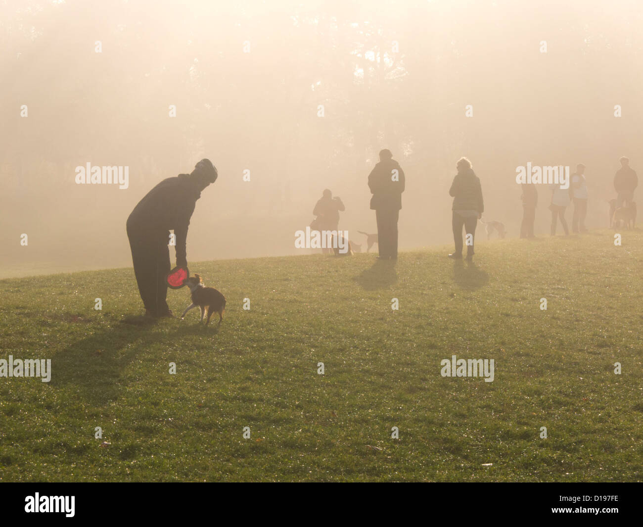 Playing in prospect park hi-res stock photography and images - Alamy
