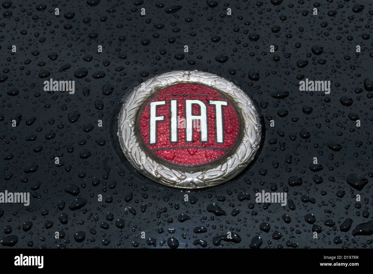A rain spotted FIAT badge on a classic car Stock Photo - Alamy