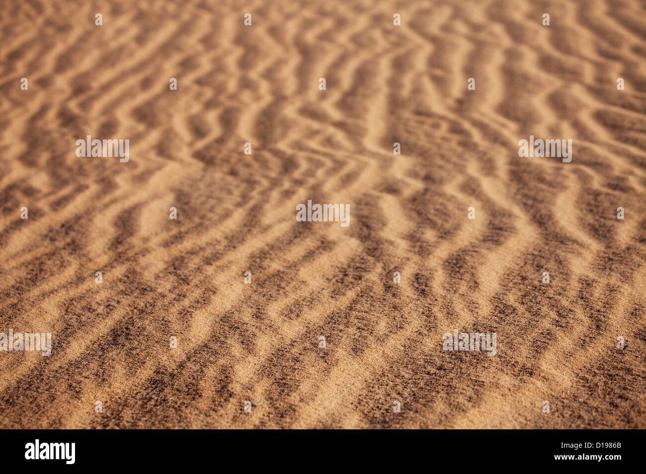 abstract sand background with sunlight in a desert Stock Photo - Alamy