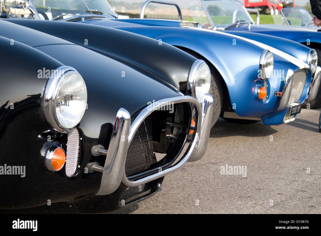 A front ends of a row of parked AC Cobra cars Stock Photo - Alamy