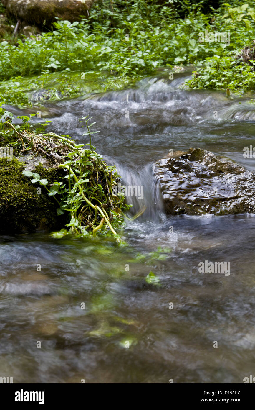 A river that flows in Oasis of Morigerati, Salerno, Cilento, Campania ...