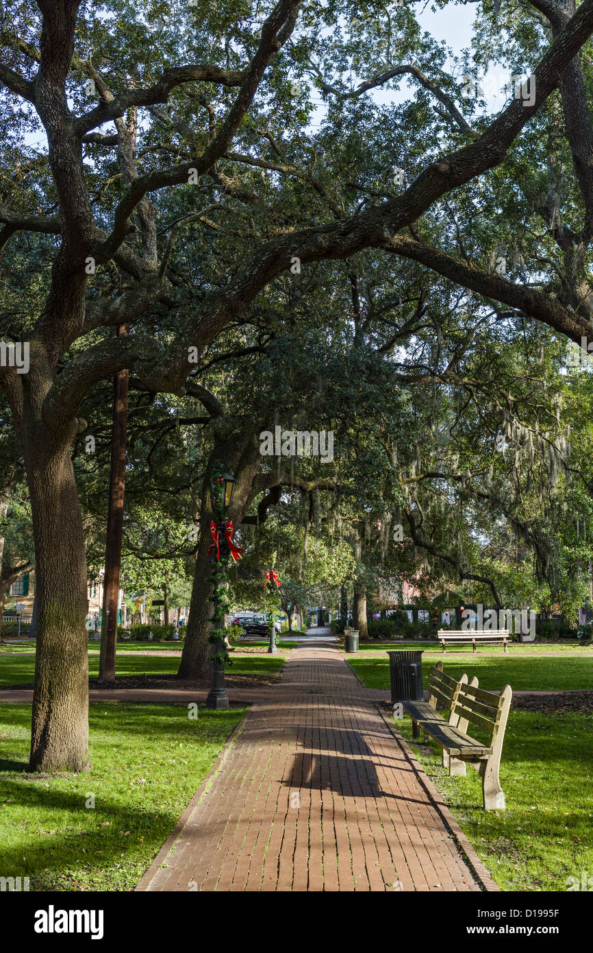 Oglethorpe Square in historic dowtown Savannah, Georgia, USA Stock ...