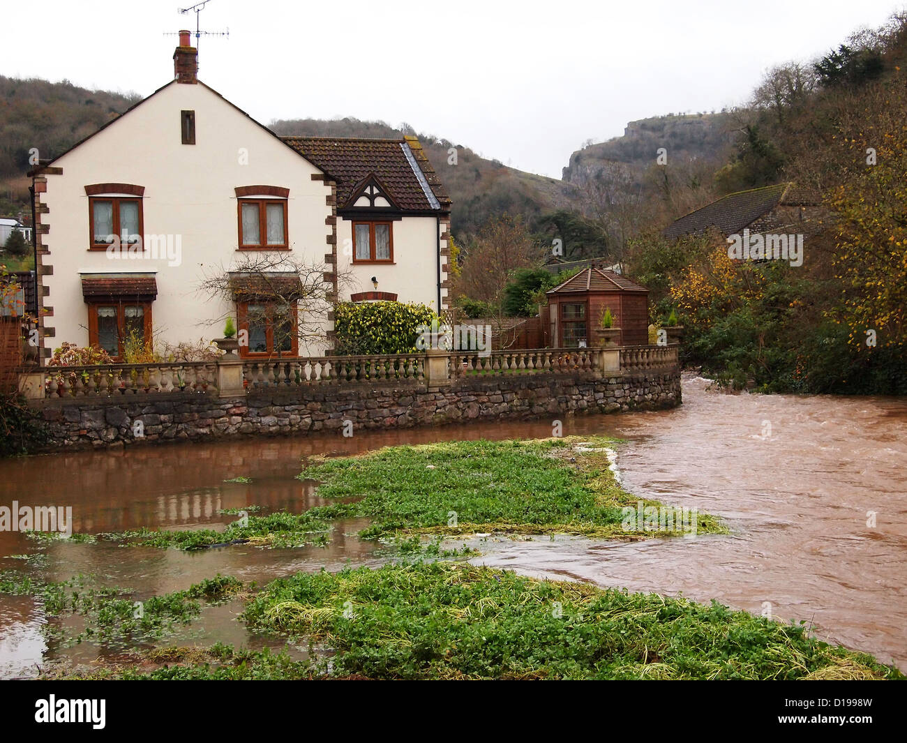 High flood waters in Cheddar pond after the rains of Late November 2012 ...