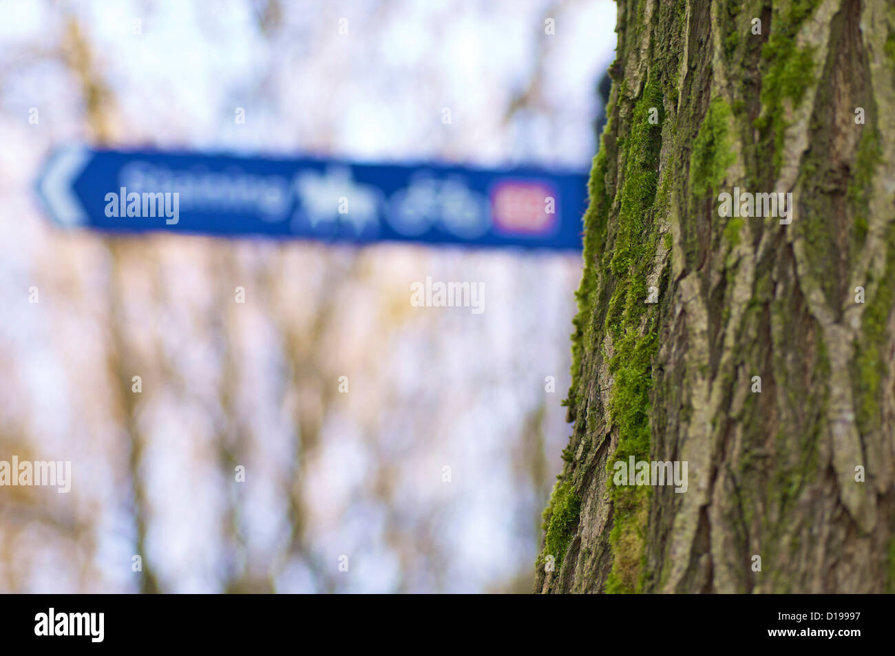 Signpost woods forest tree woodland hi-res stock photography and images ...