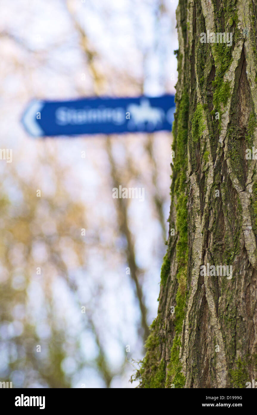 Out of focus signpost partially hidden behind tree Stock Photo - Alamy