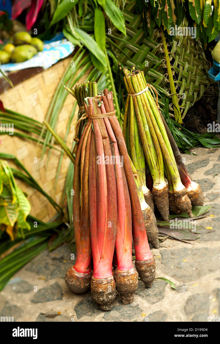 French Polynesia, Taro Root At Market Stock Photo - Alamy