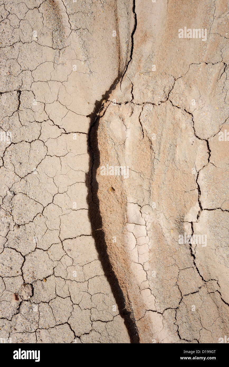 Parched earth - Arizona, USA Stock Photo - Alamy