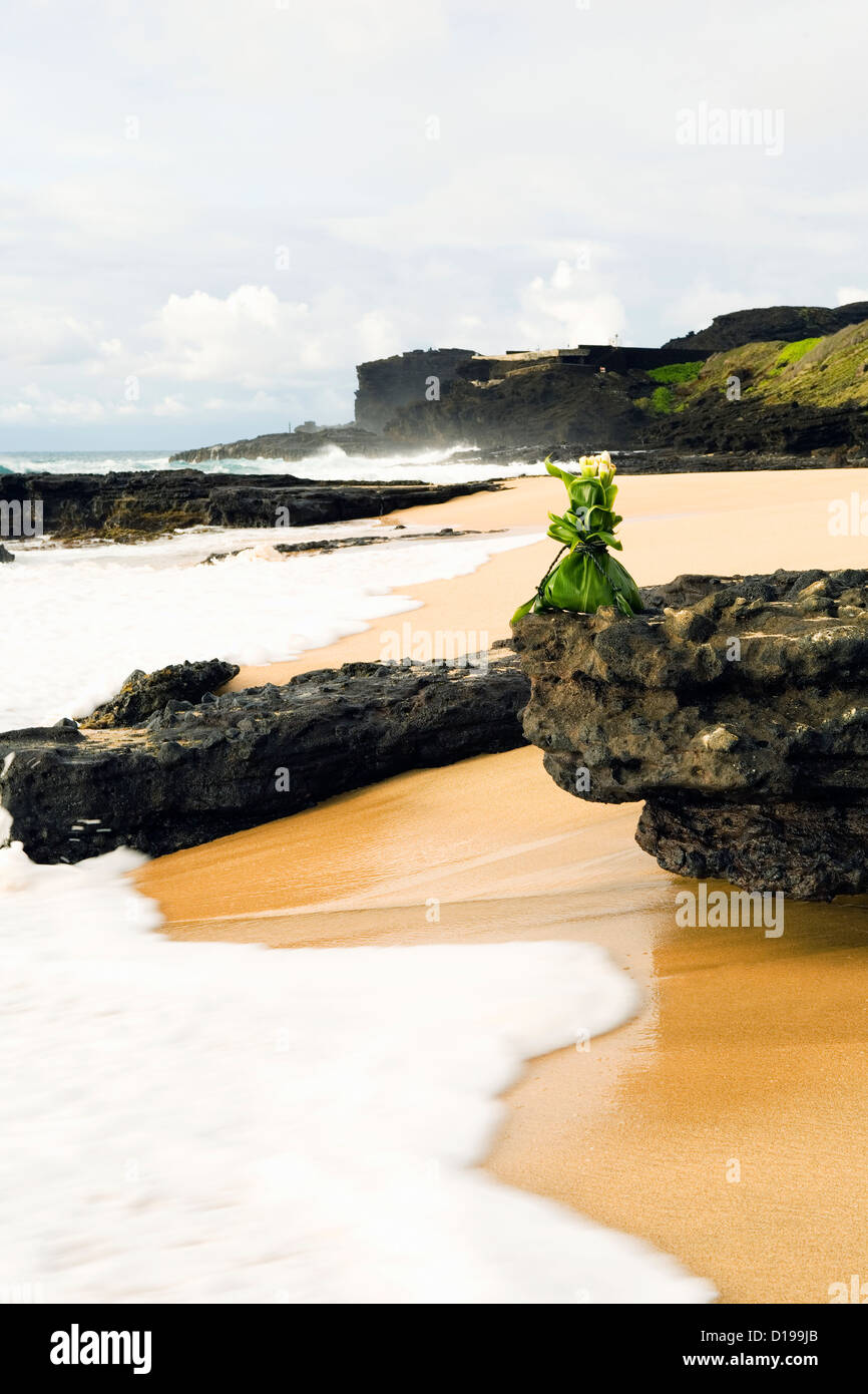 Hawaii, Oahu, Sandy Beach, Hawaiian Offering On Rock At Shoreline Stock ...