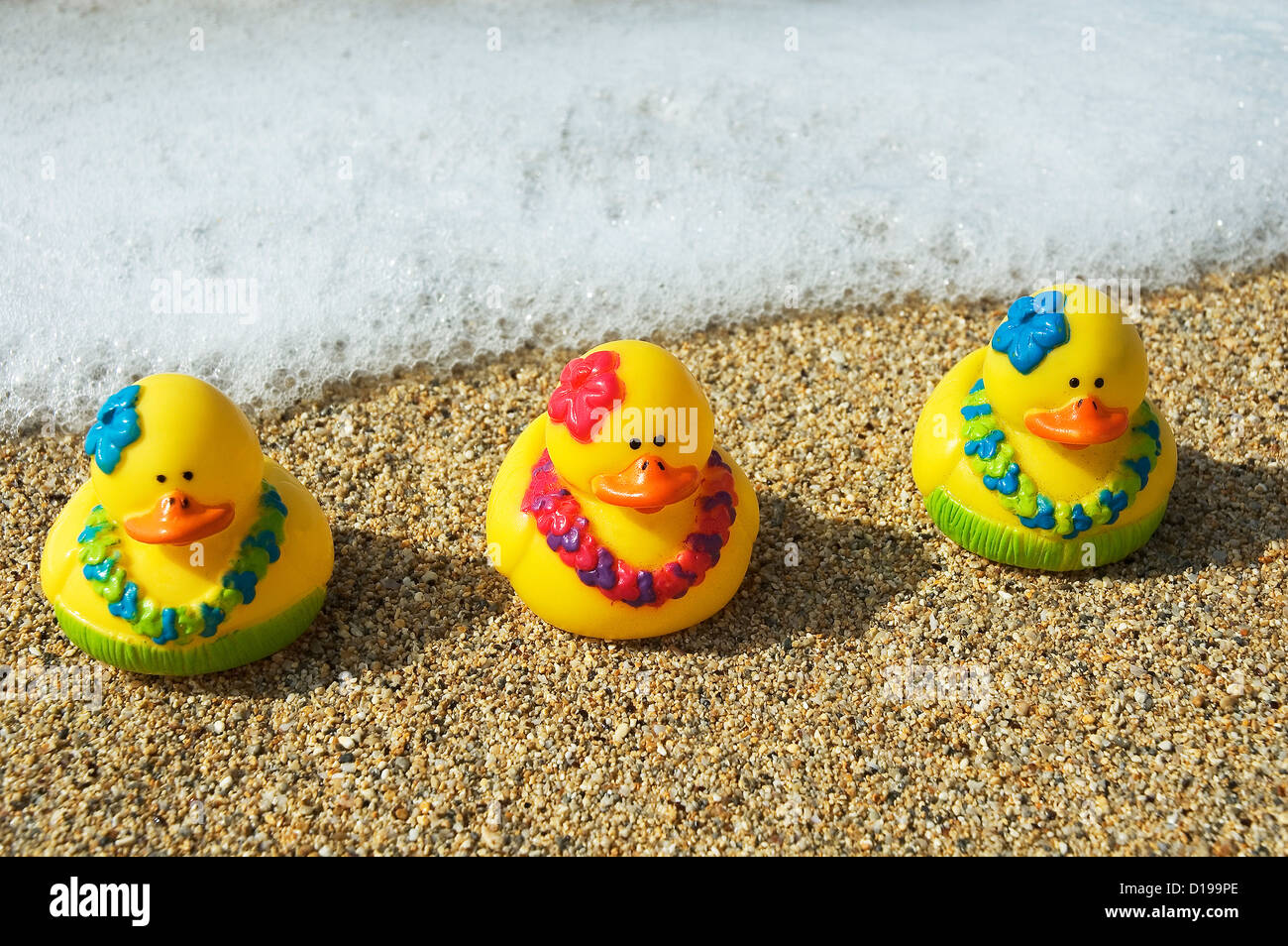 Three Toy Hula Ducks On Sandy Beach With Seafoam In Background Stock ...