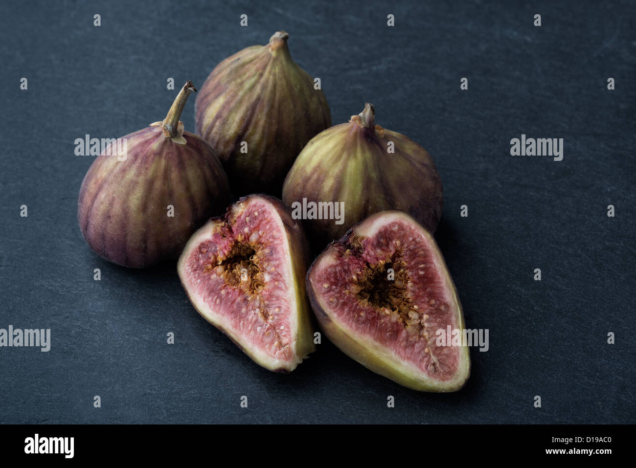 Fig wasp hi-res stock photography and images - Alamy